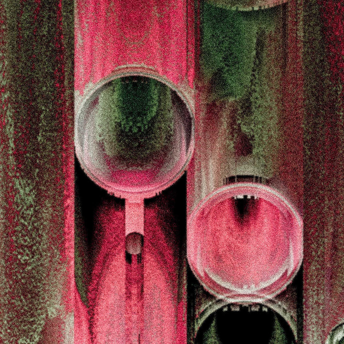 The Demise Of Ego – The Bitter Irony