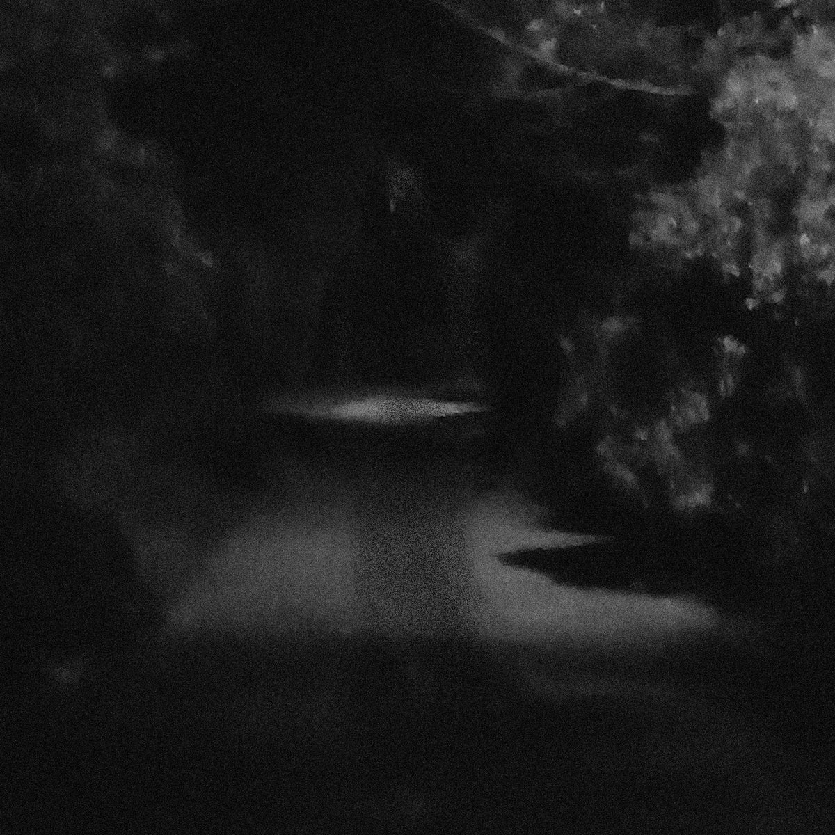 Anomalous X – The Bitter Irony